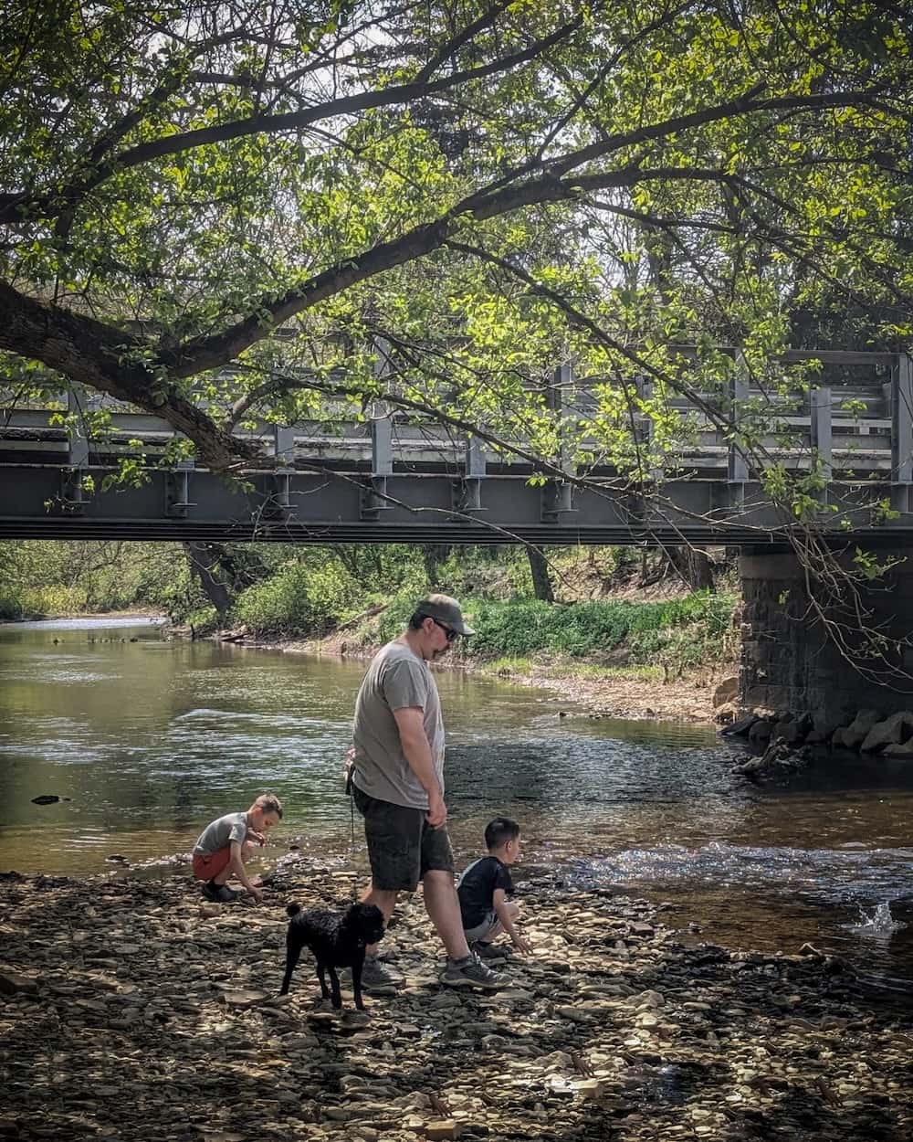 Pigeon Creek Watershed Association – We inspire people to protect ...